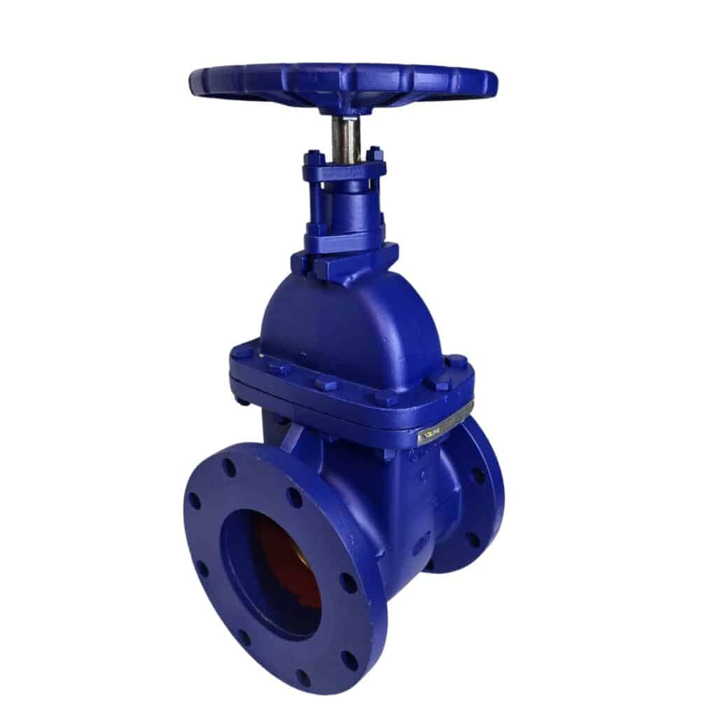 VÁLVULA COMPUERTA V/F SELLO EN BRONCE O FLEX 125 LBS FO.FO ...